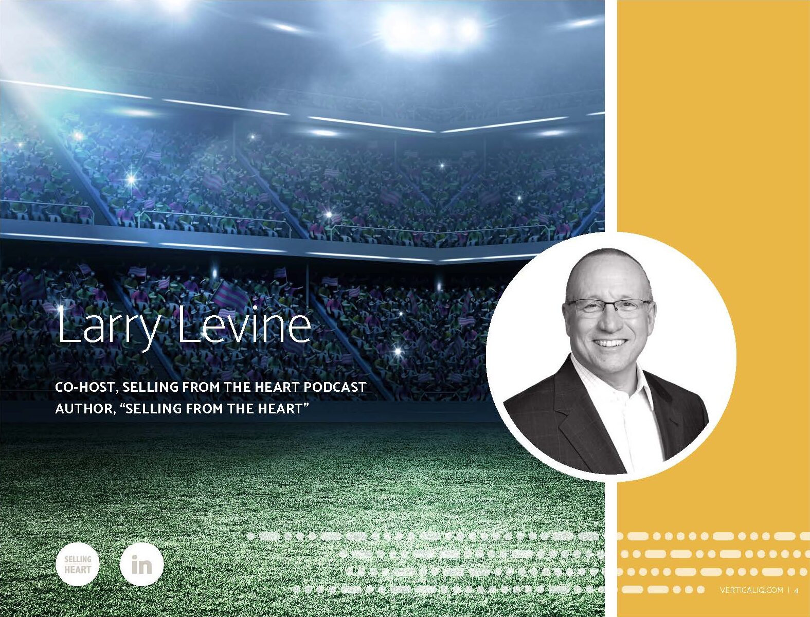 Advice from the Experts Blog Series: Larry Levine